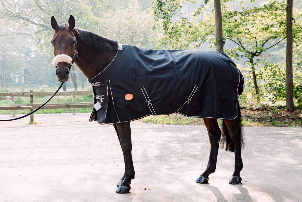 Winterdeken voor je paard - Paardendekenshop.nl - Nº1 goedkoop